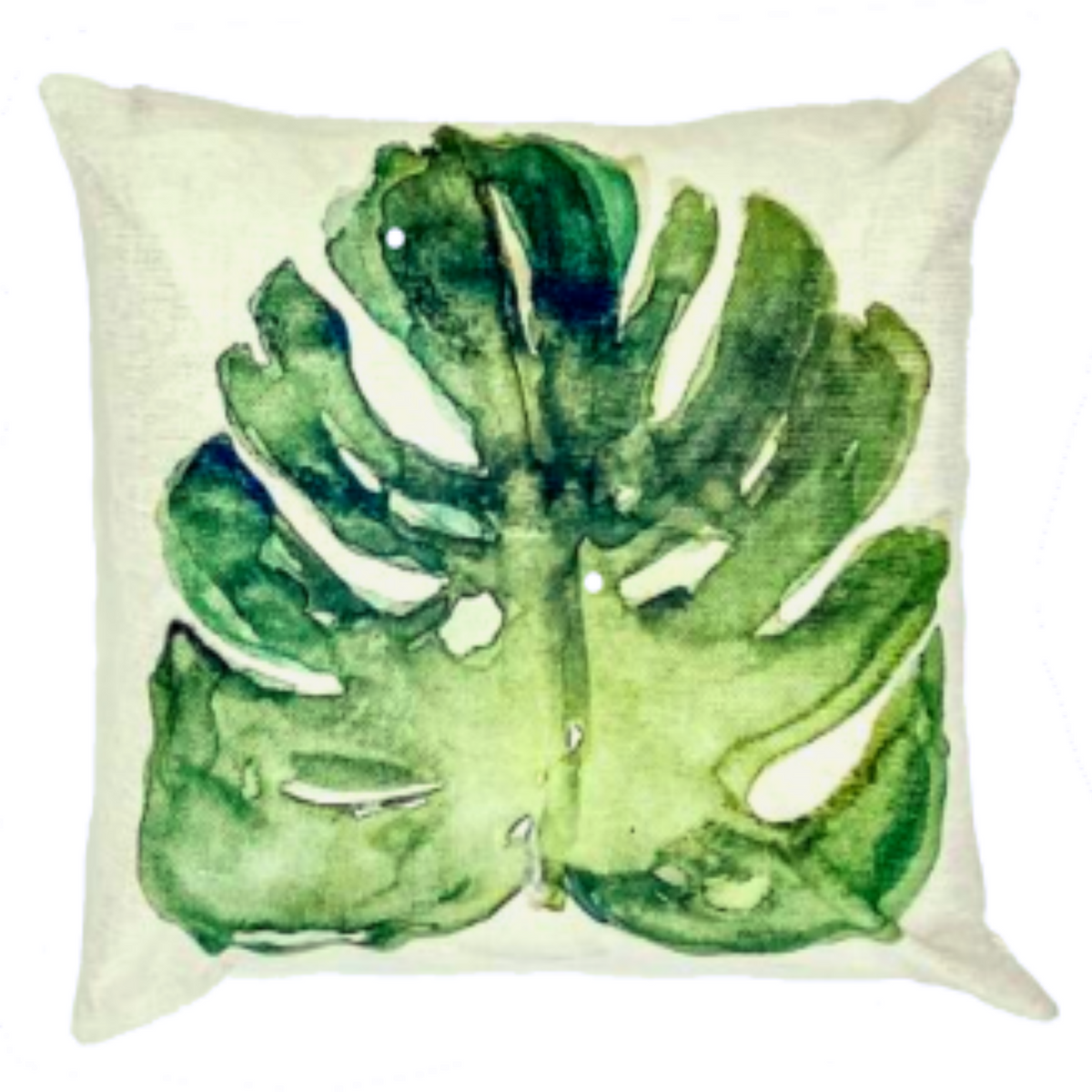 Major Monstera – Cover & Quill